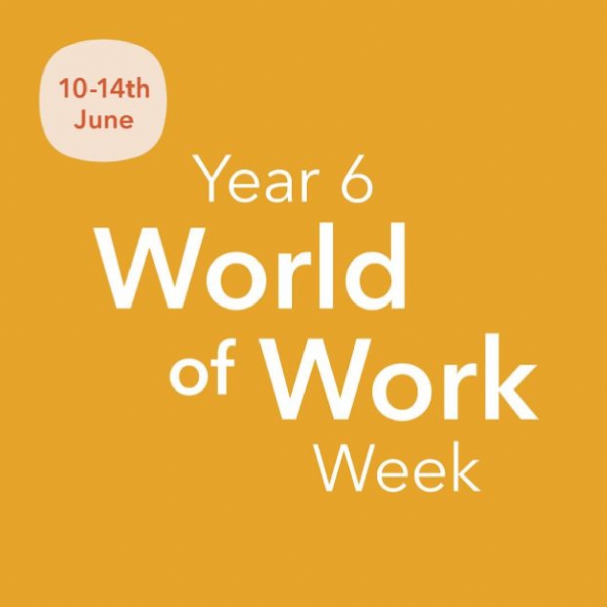 Co-op Academy Woodlands - Y6 World of Work Week 2024